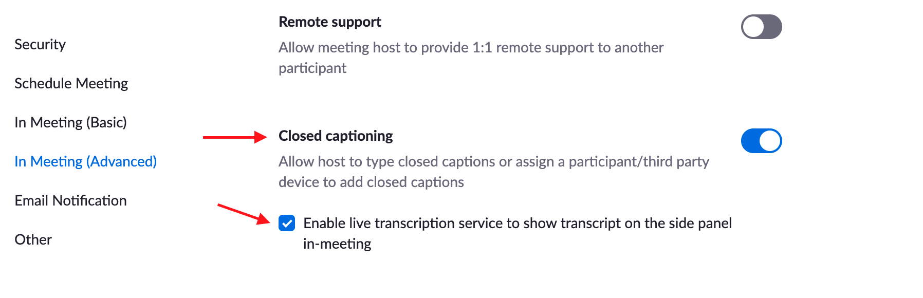Zoom Settings for Teaching Online – LLS Technology Services